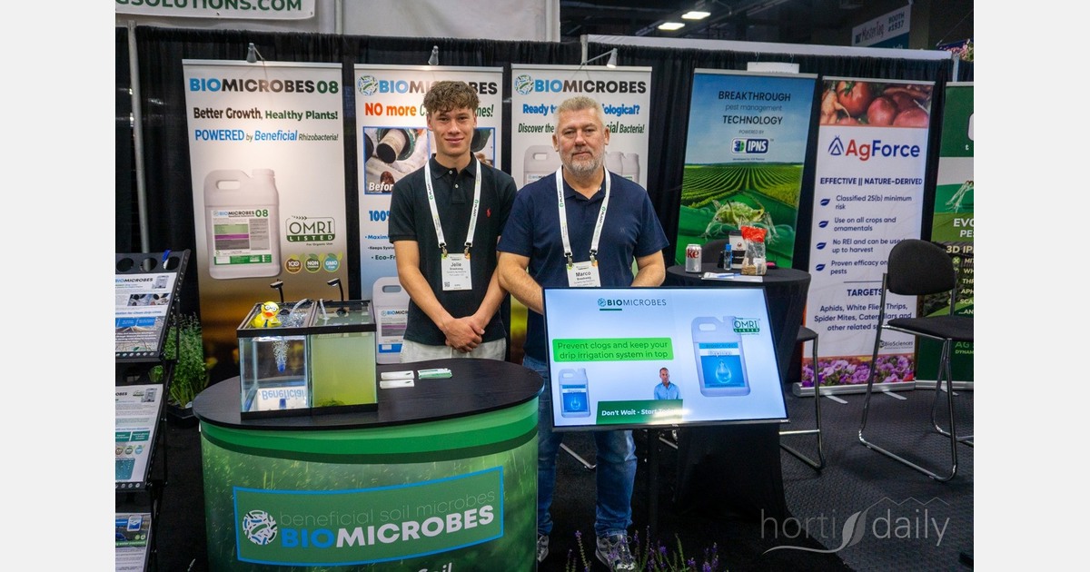 bacillus simplex environment