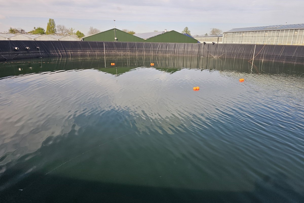 Clean water after disinfection? Don't count on it!