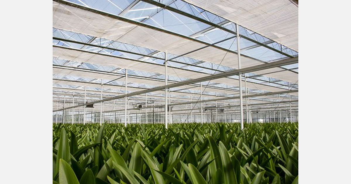 How to coordinate screens and coatings in a greenhouse?