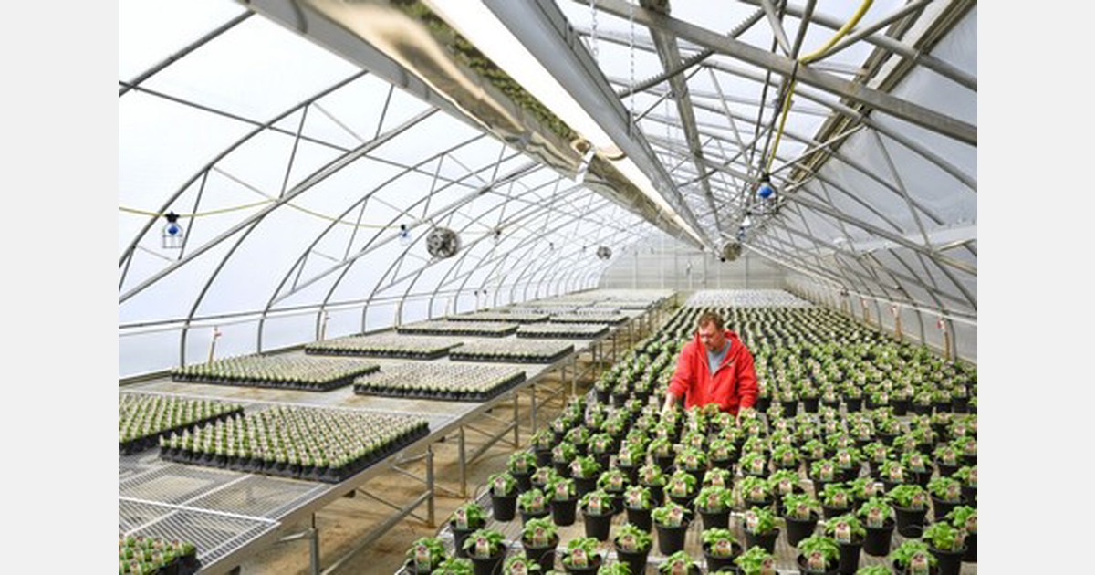 Design Lights Consortium Dlc | Shelly Lighting