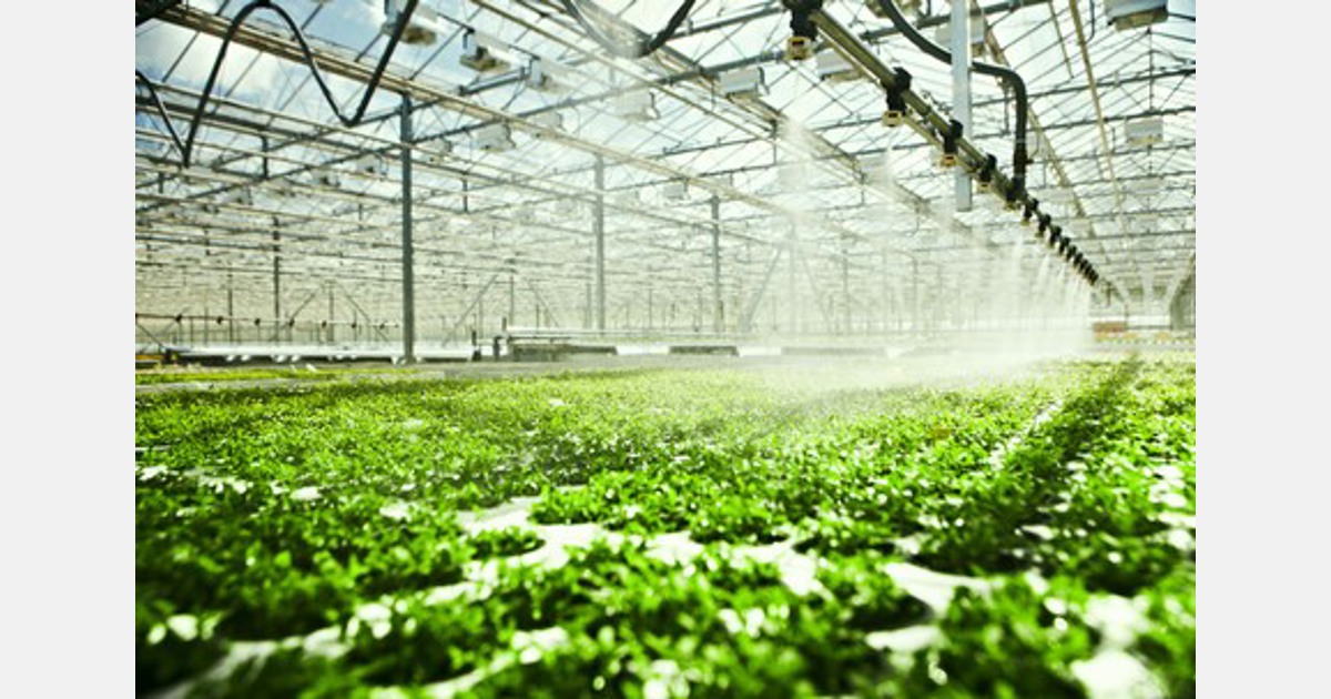 "Safest way to chlorinate is by disinfecting the water with gas chlorine"