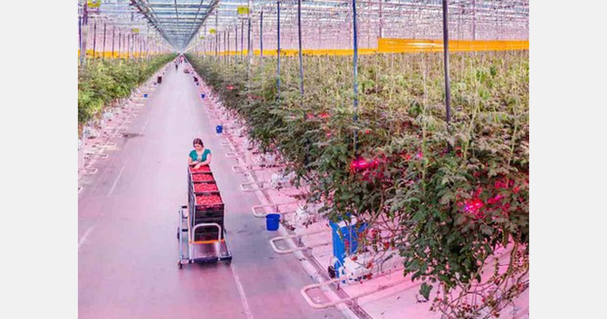 Signify publishes 2018 Annual Report