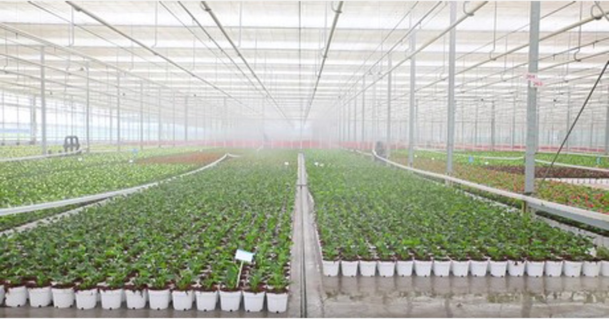 Videos: How to use biological crop protection