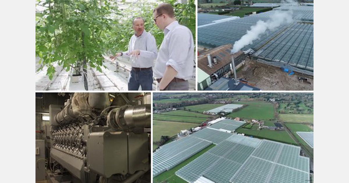 david schellingerhout