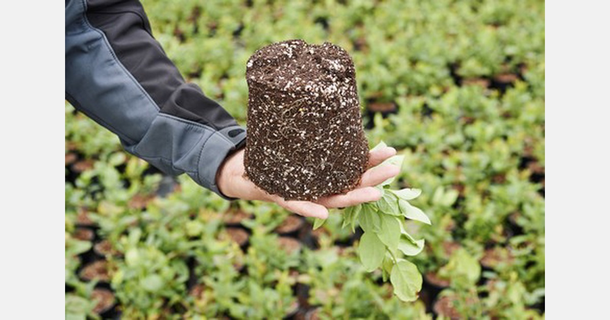 New solution in the trend towards peat substitutes