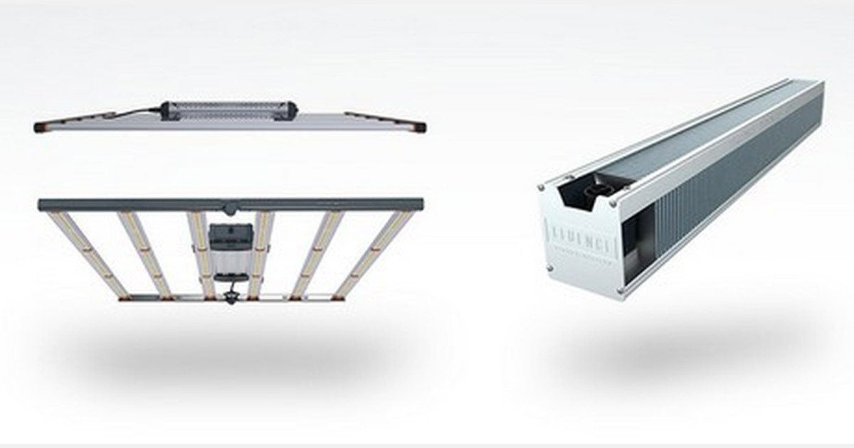 Fluence LED grow lights now available at RF Agriculture