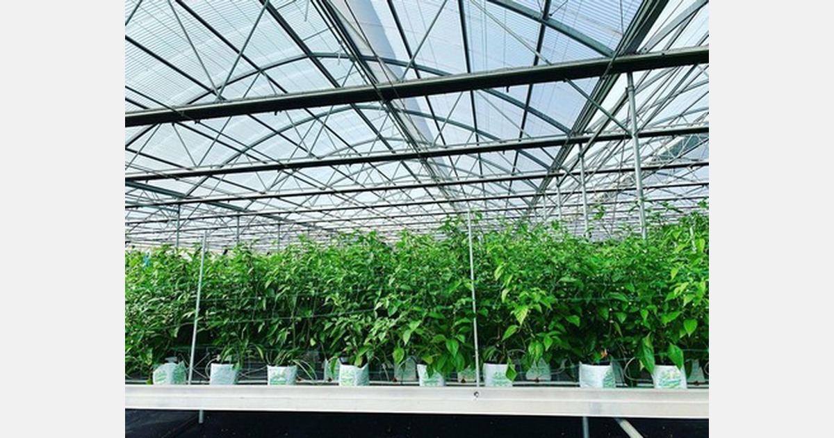 Effective and precise fertilizing - it's all on the label