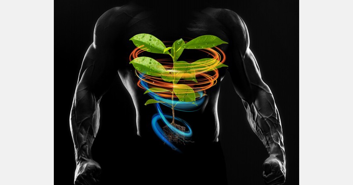 Haifa company introduces a new range of plant supplements