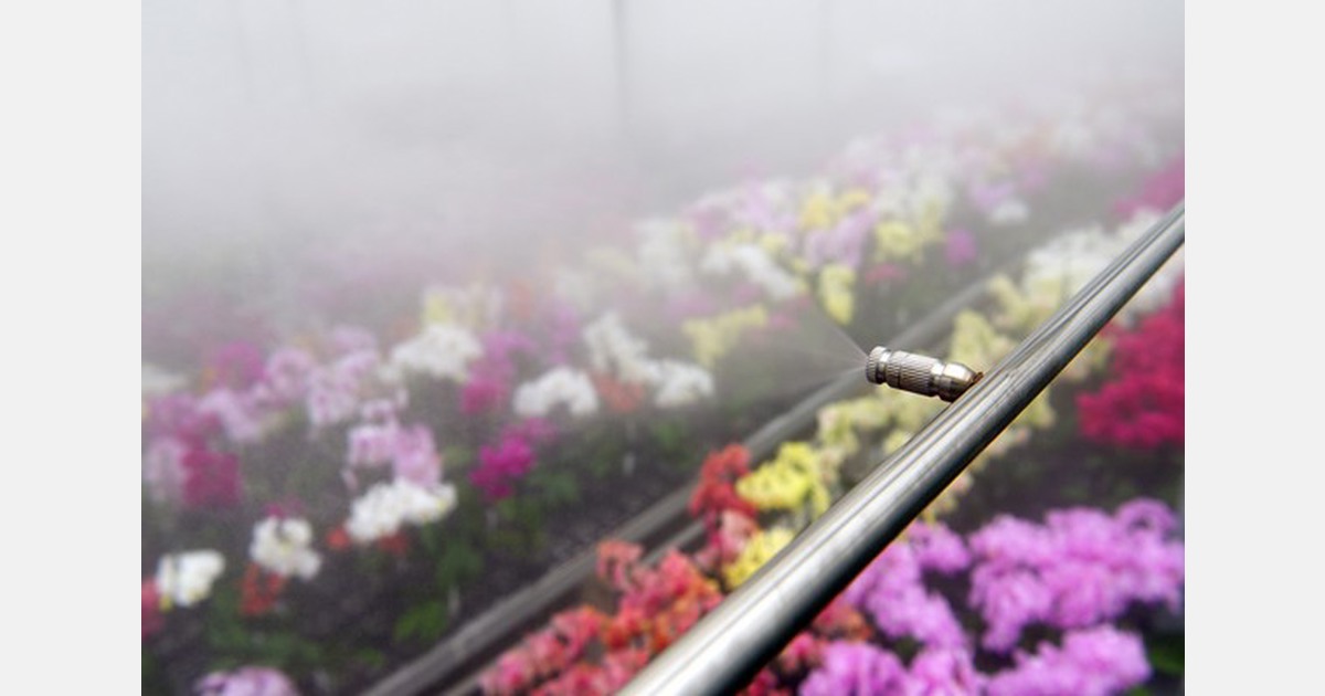 Fogging system to effectively humidify and cool greenhouse air