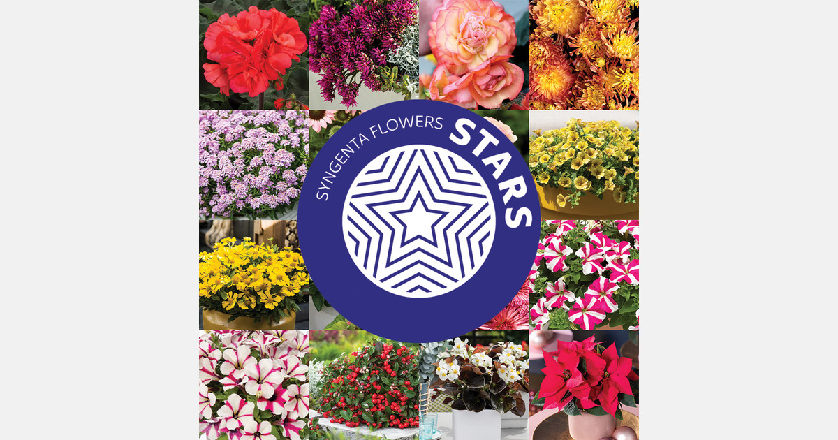 Syngenta Flowers unveils Stars Collection