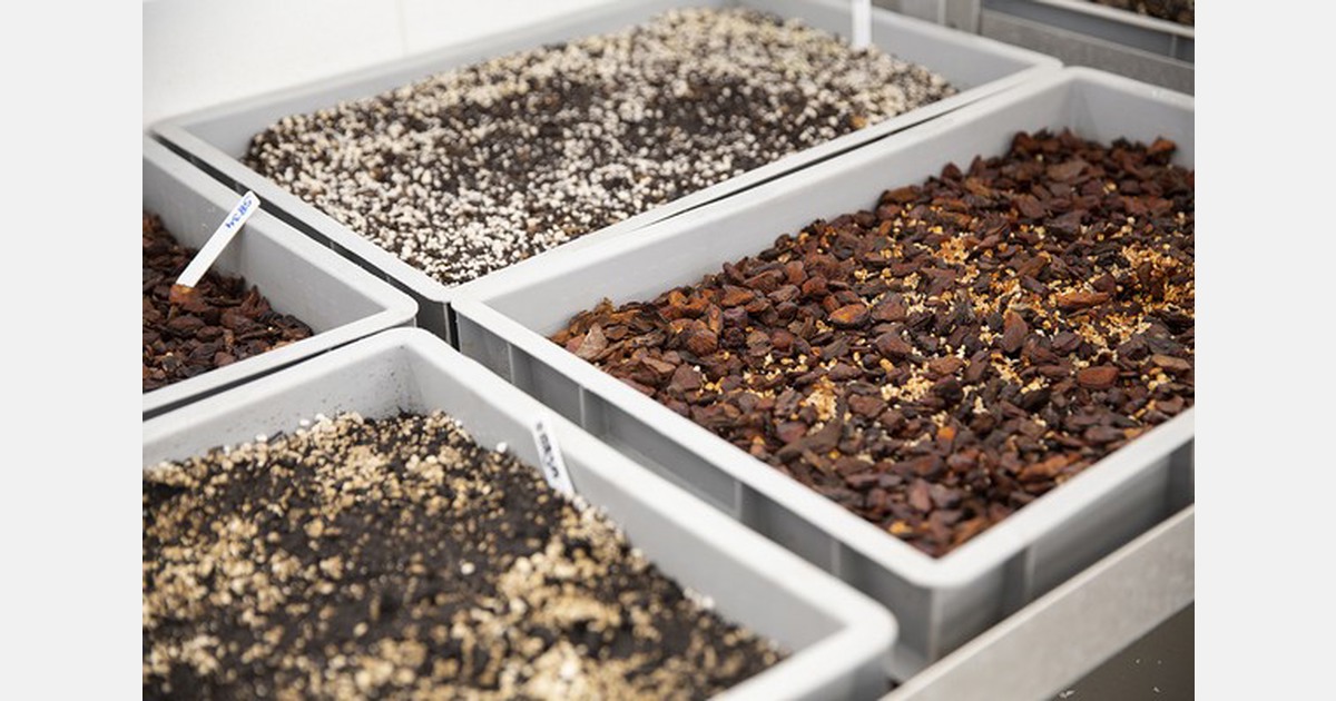 The use of peat in substrates