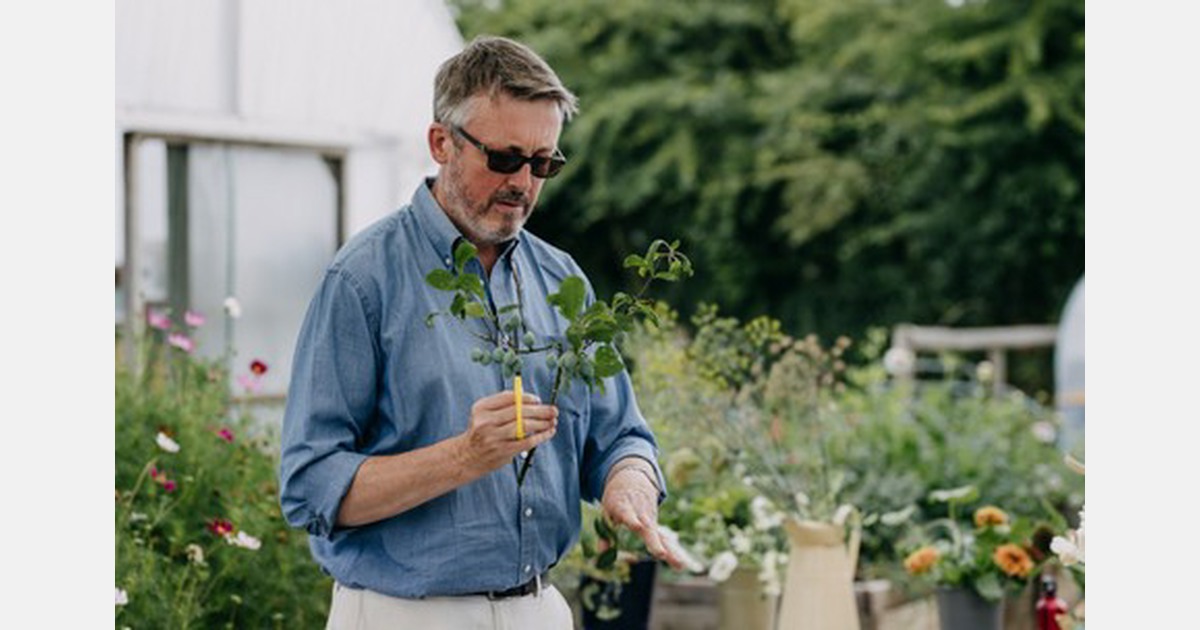 UK: 'Flowers for Ukraine with Shane Connolly' raises more than £20,000