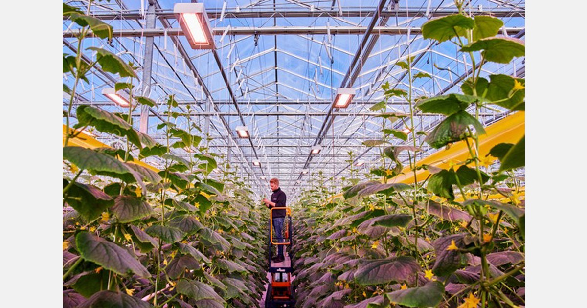 Understanding LED inrush current and the financial impact on your ...