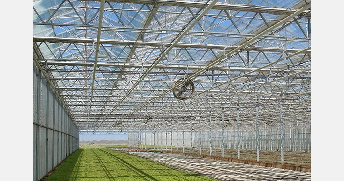 Why crops grow better with more light