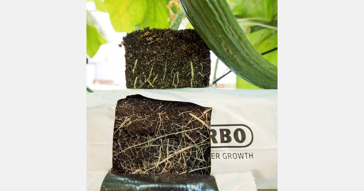 Acrotelm and wood fiber as alternative to peat