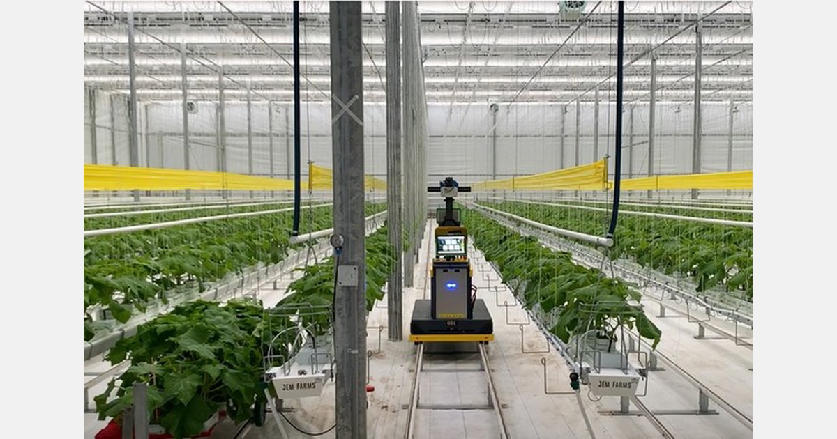 Otto: the IPM scouting and yield forecasting greenhouse robot