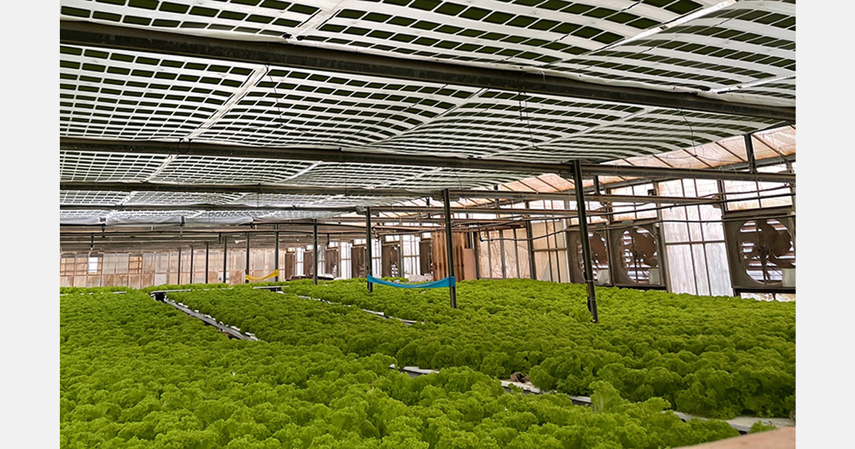 Photovoltaic energy screen converts sunlight into electricity