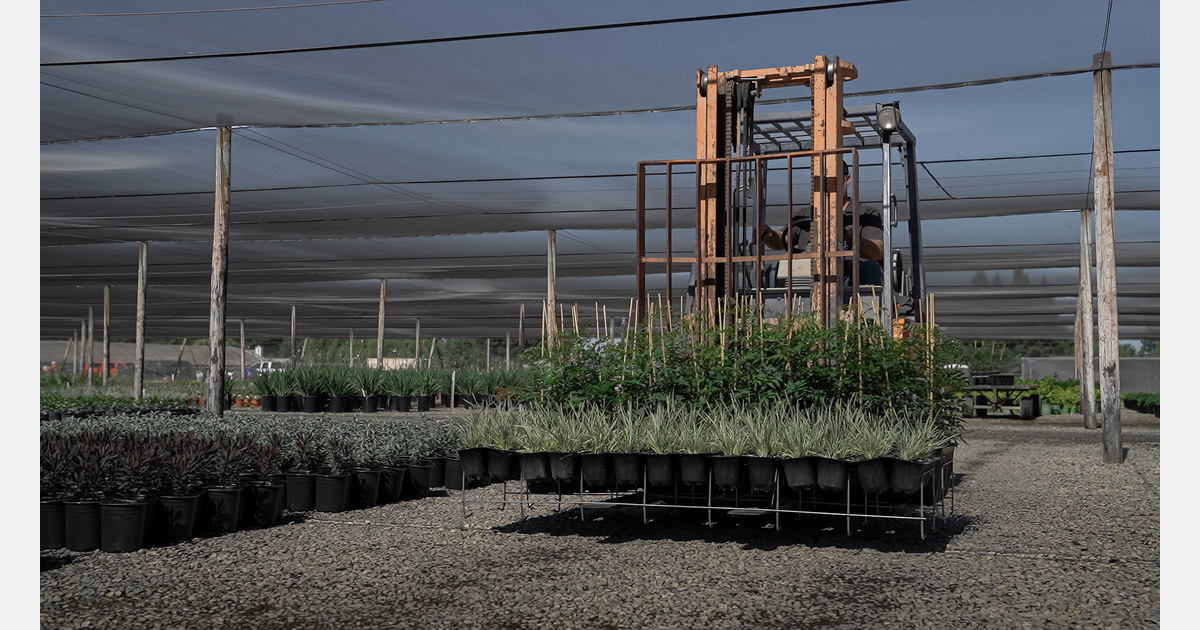 "Better root development through air root pruning"