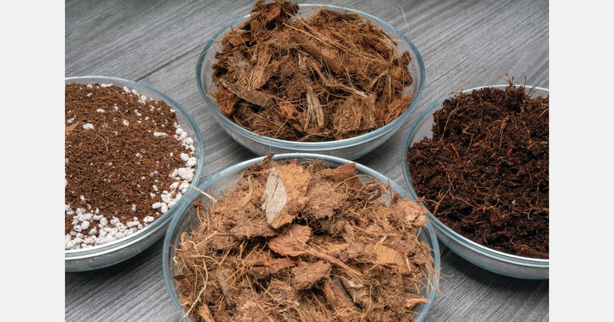 “Substrate enriched with organic compost offers powerful nutritional ...