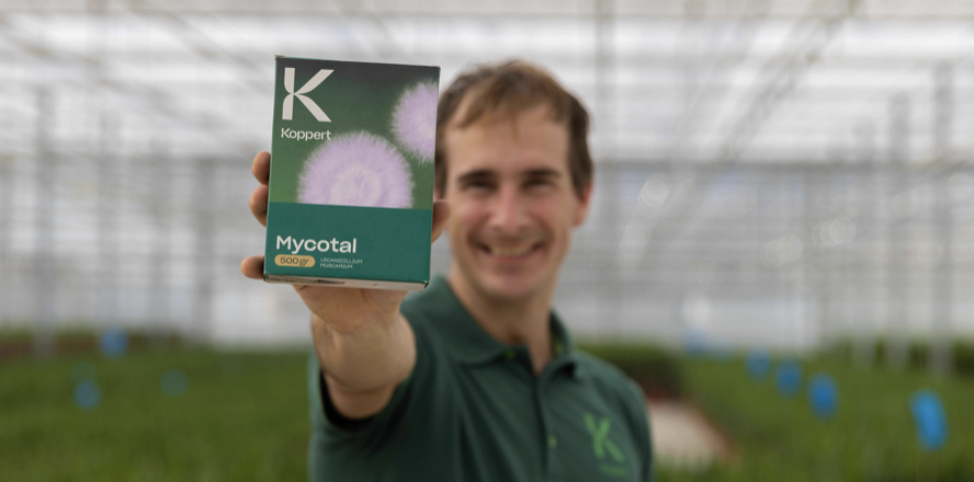 New generation Mycotal released