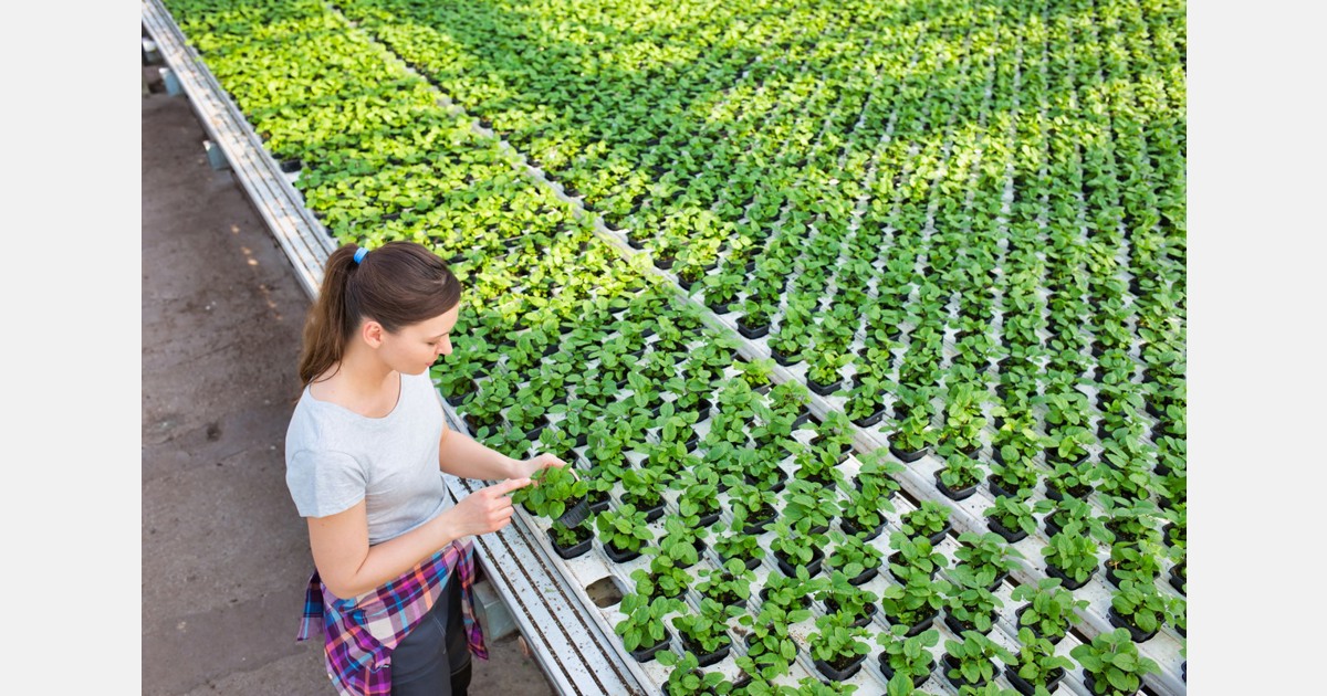 Launch of the UPOV international certificate on plant variety protection