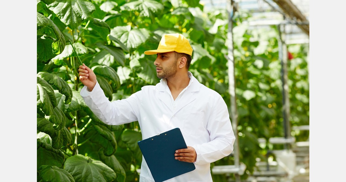 Effects of nutrients growth and fruiting of horti crops