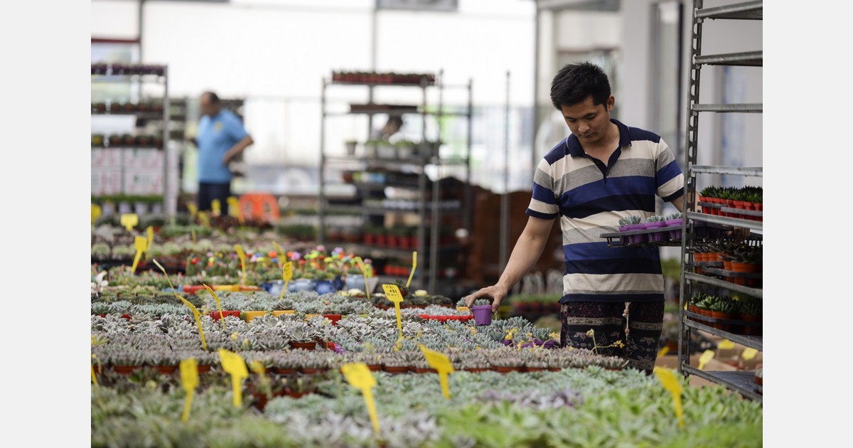 "It’s time to rethink floral hiring"