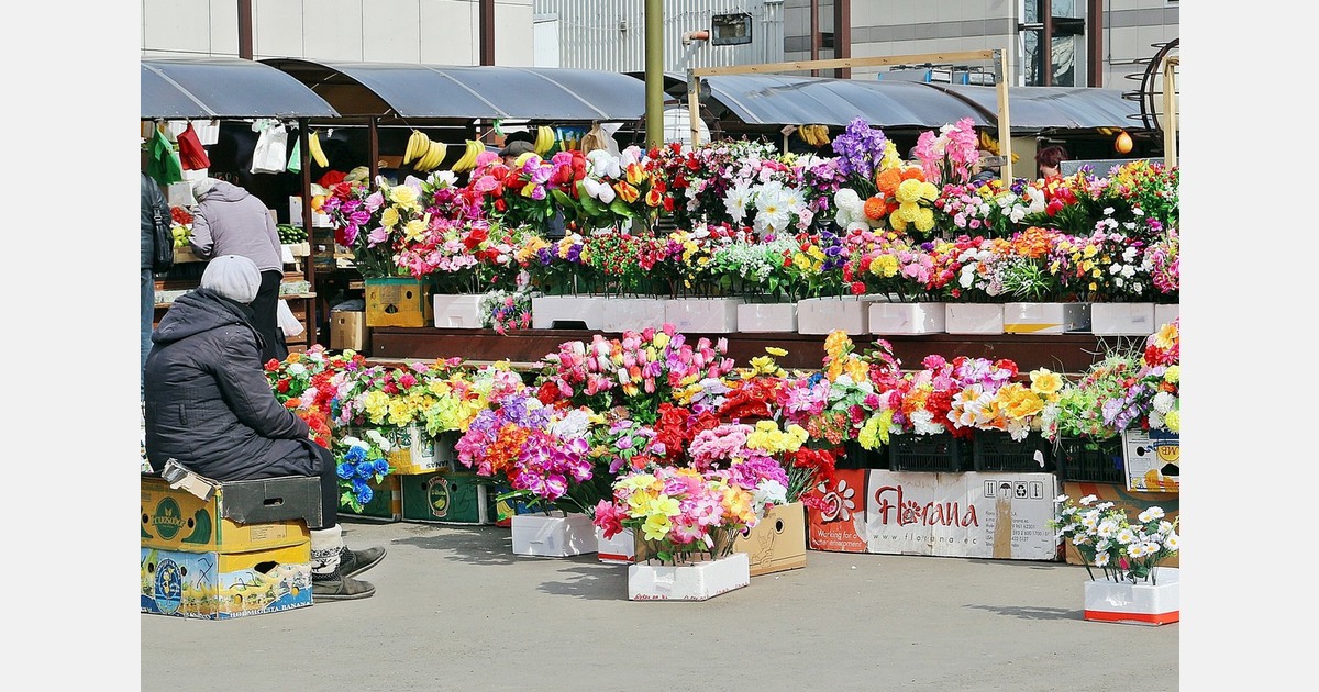 China: Festive demand boosts sales of flowers ahead of Spring Festival
