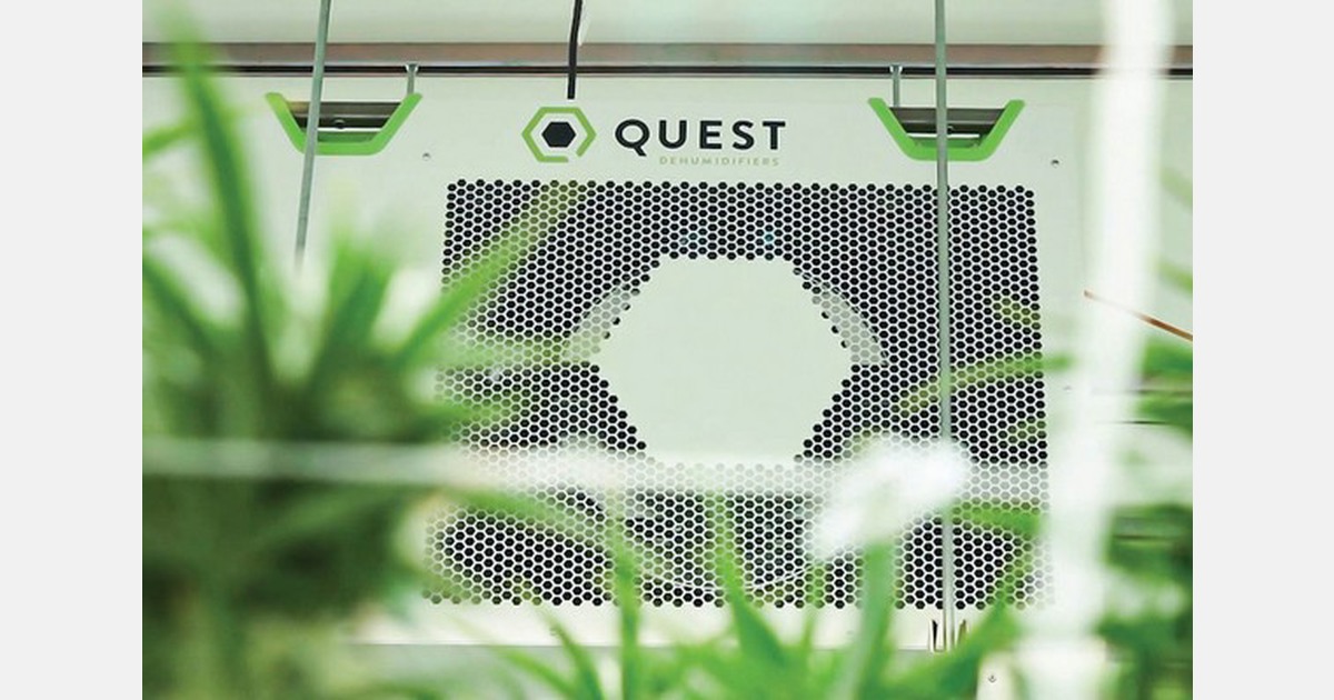 Quest partners up with BFG