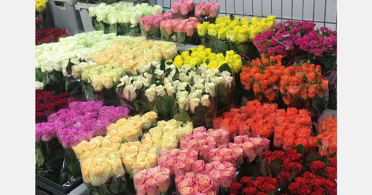 India: Karnataka region exported over 12 tons of roses