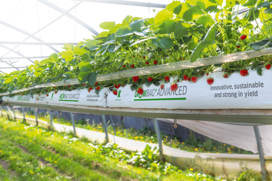 New substrate solutions launched at Fruit Logistica