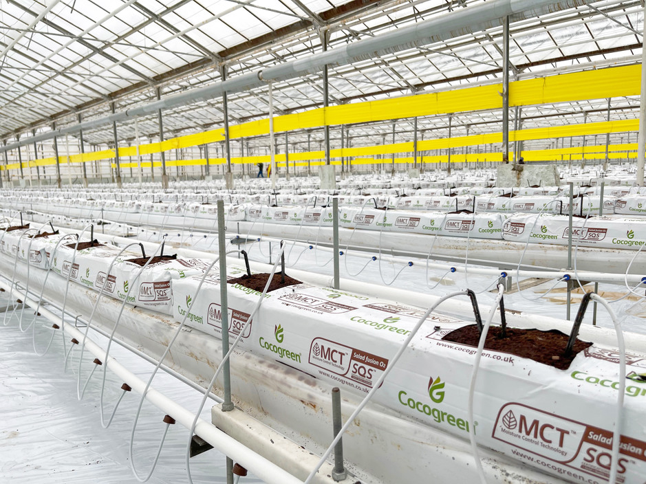 UK award for coco producer