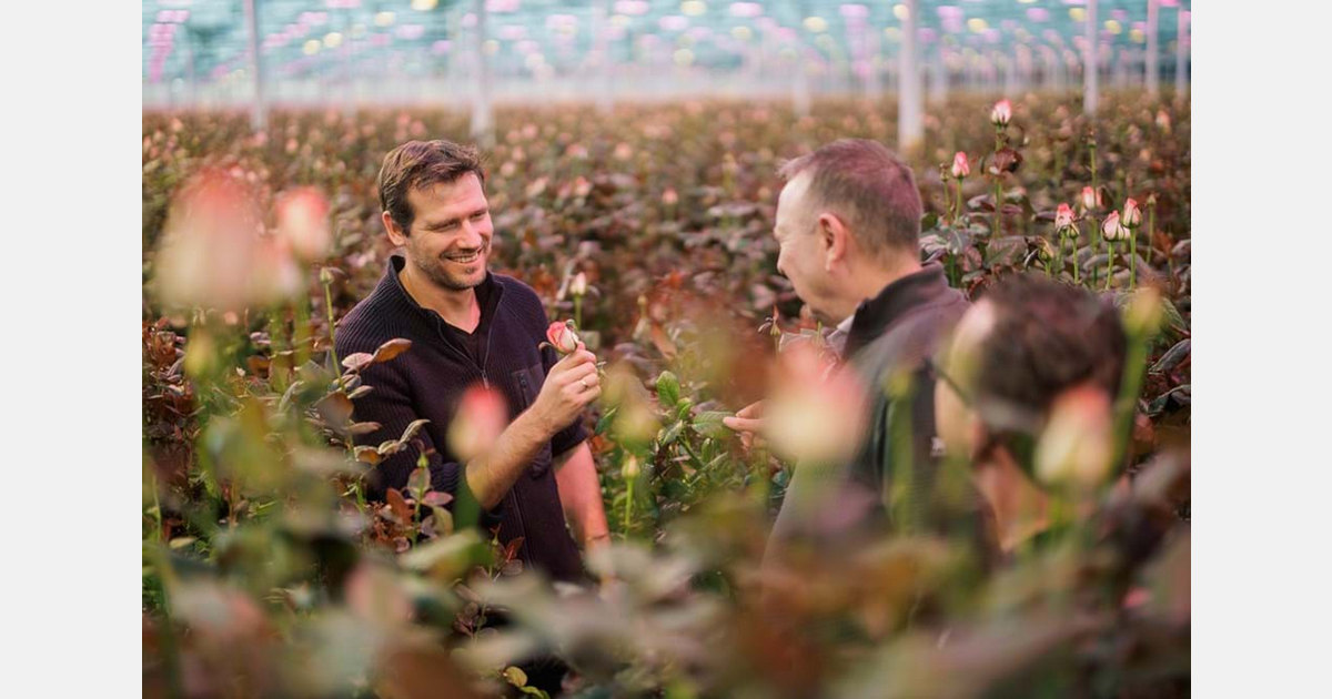 Using vertical fans to aid in energy