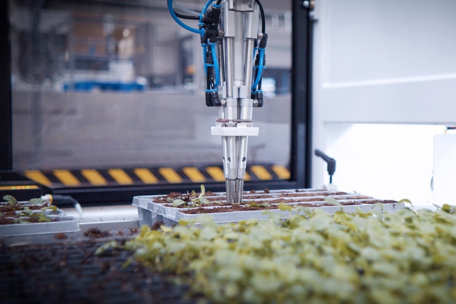New robotic gap filling solution aims to optimize plant production