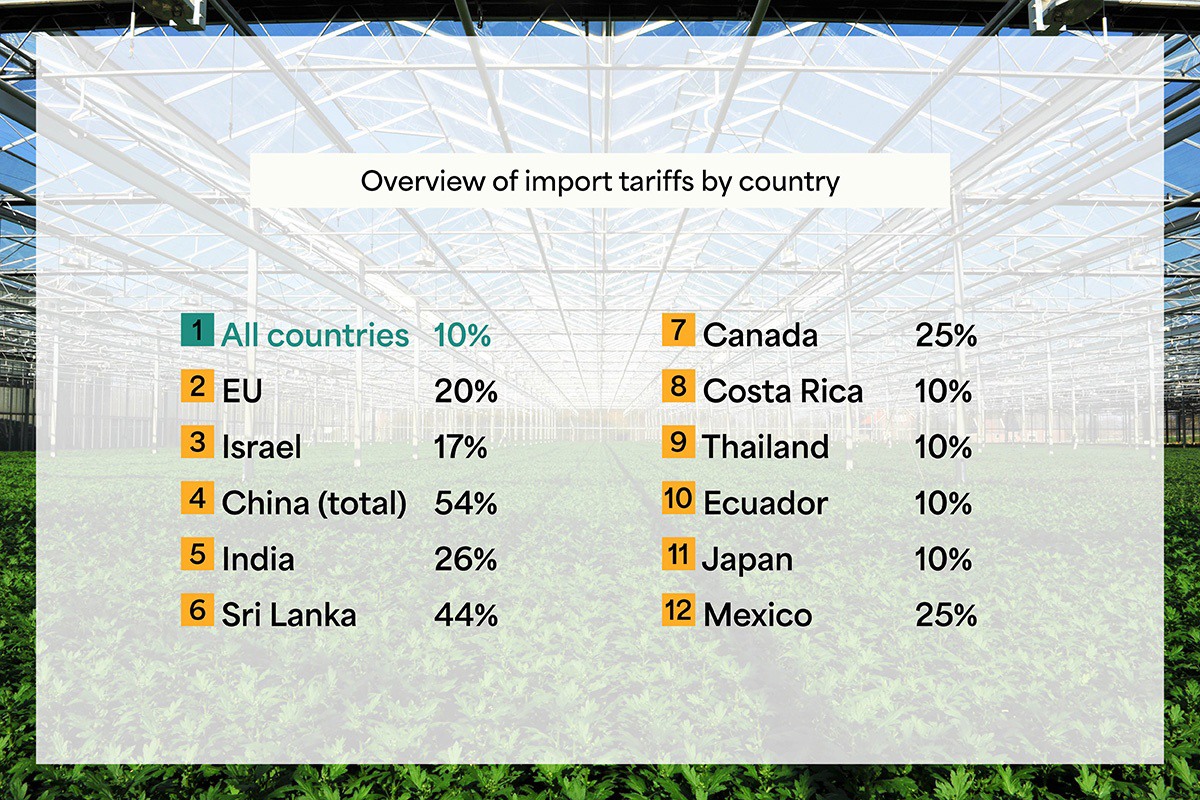 "Import tariffs are good for no one"