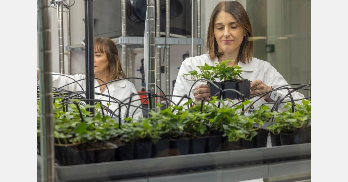 New ICL acquisition aims to strengthen microbial ag solutions