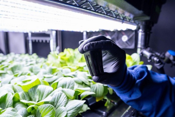 Biodegradable gel substrate for enhanced crop performance