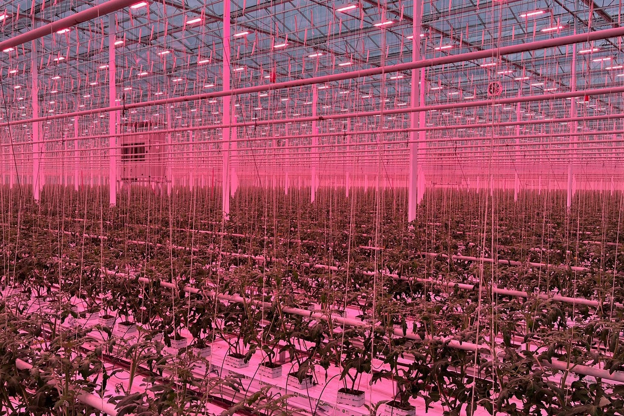 "Turning grower challenges into operational control"