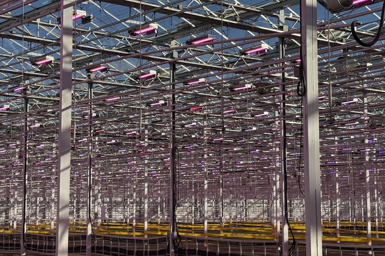 "Focus on how LED systems function once installed"