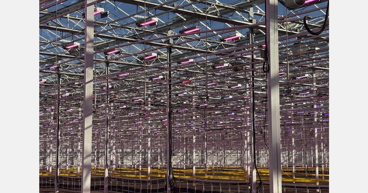 "Focus on how LED systems function once installed"