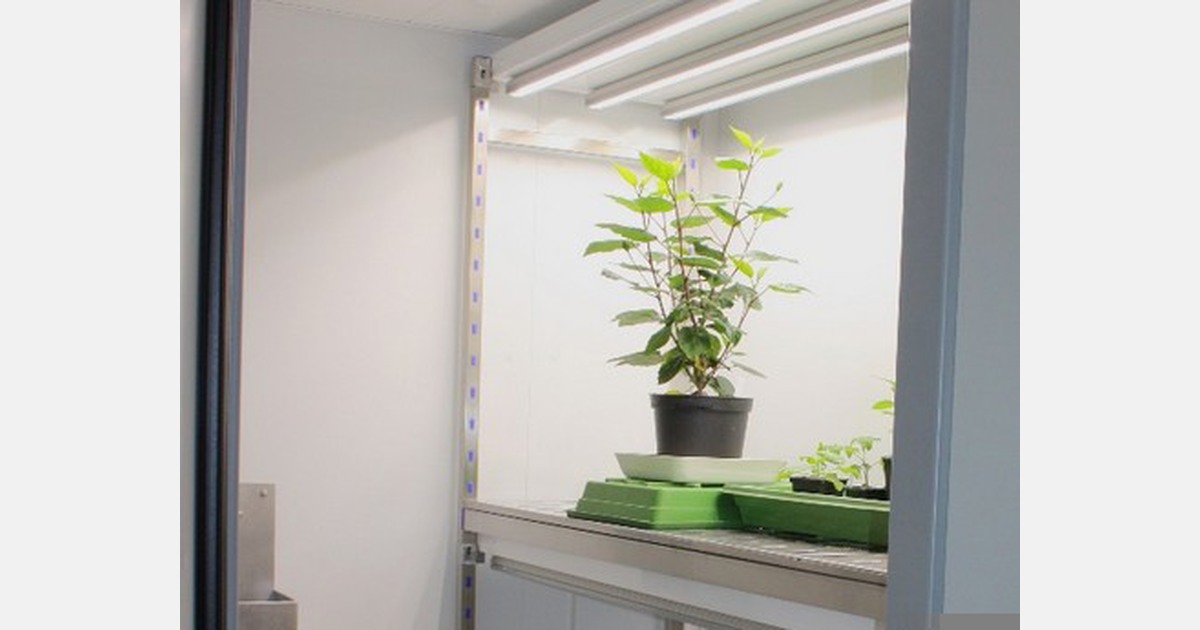 Valoya C-series LED grow light certified for US, Canada