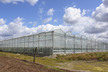 High-tech rose greenhouse Rosefield completed in Armenia