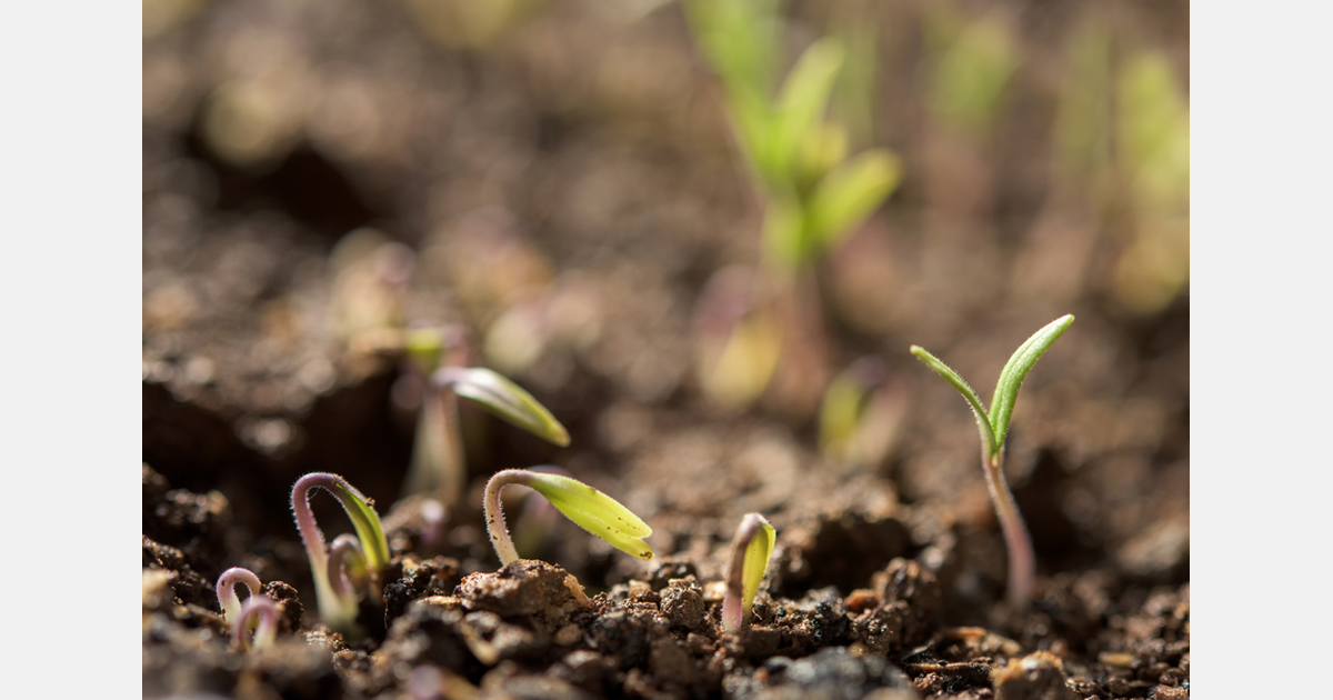 Meet SeedTelligence: An interconnected technology portfolio to unlock ...