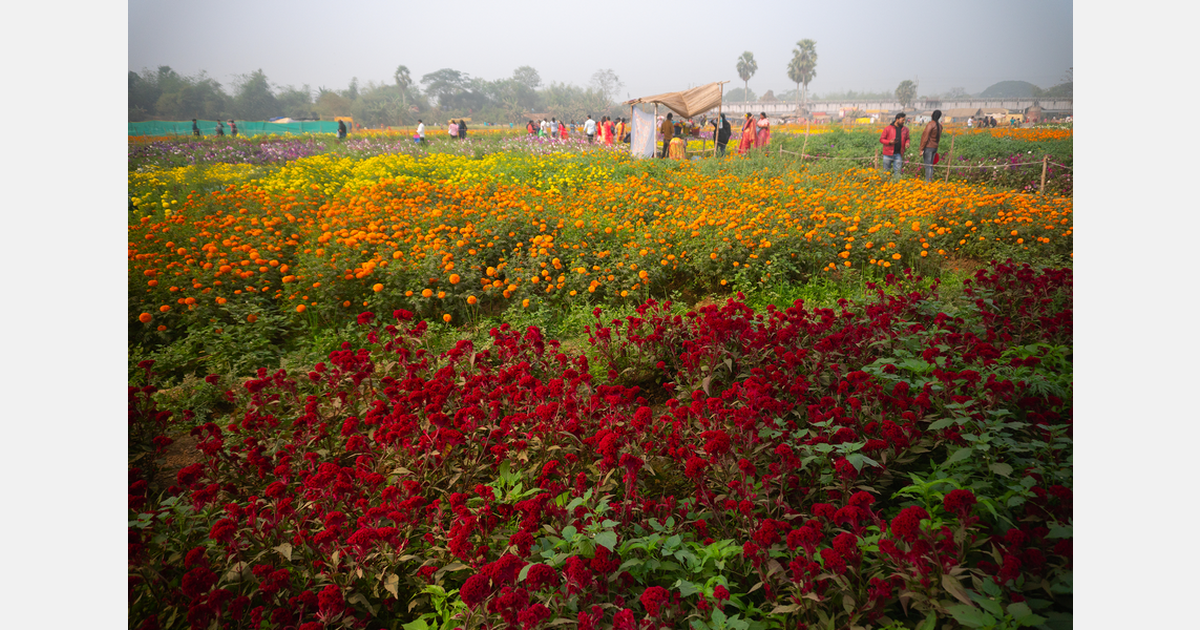 India: New books on floriculture in Jammu & Kashmir released
