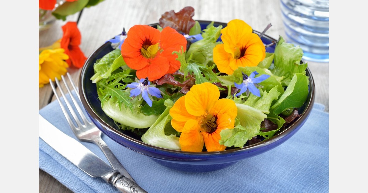 Turkey: Bringing elegance to menus with edible flowers