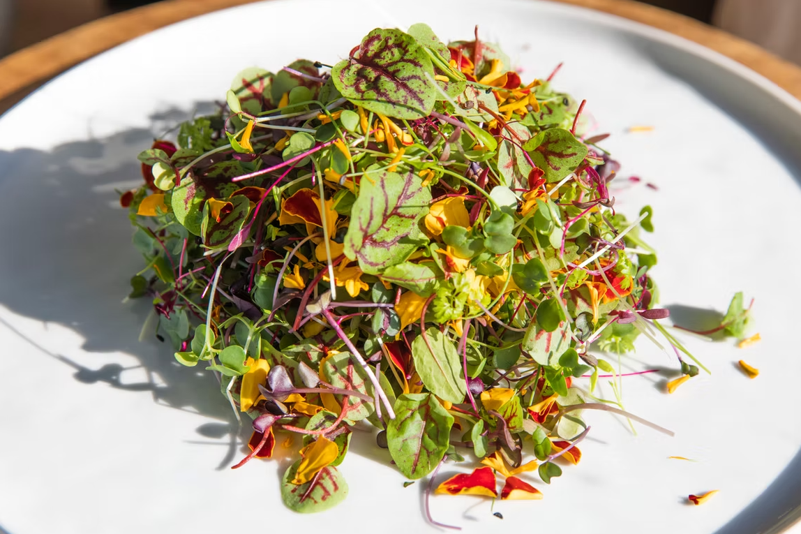 Vertically farmed edible flowers for Michelin-starred restaurants