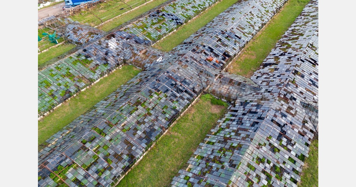 Vietnam: D'ran Commune greenhouses left battered after flooding