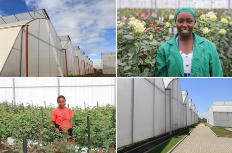 Kenya: Interplant continues to conserve water