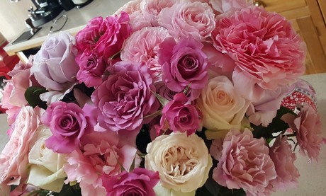 Uhuru Flowers launches Wabara roses