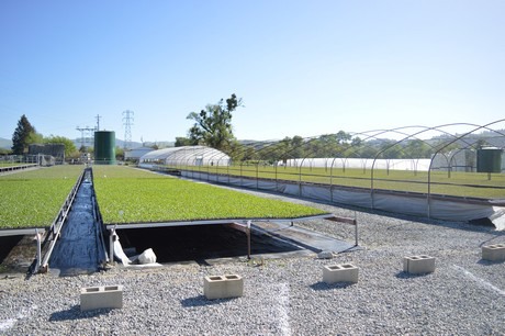 This was on display at Speedling during CAST 2017